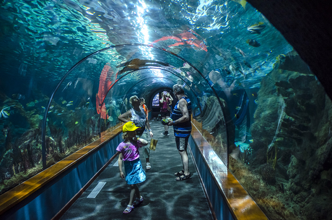 Loro Parque - Země Světa