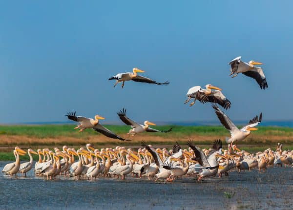 Delta Dunaje - Země Světa