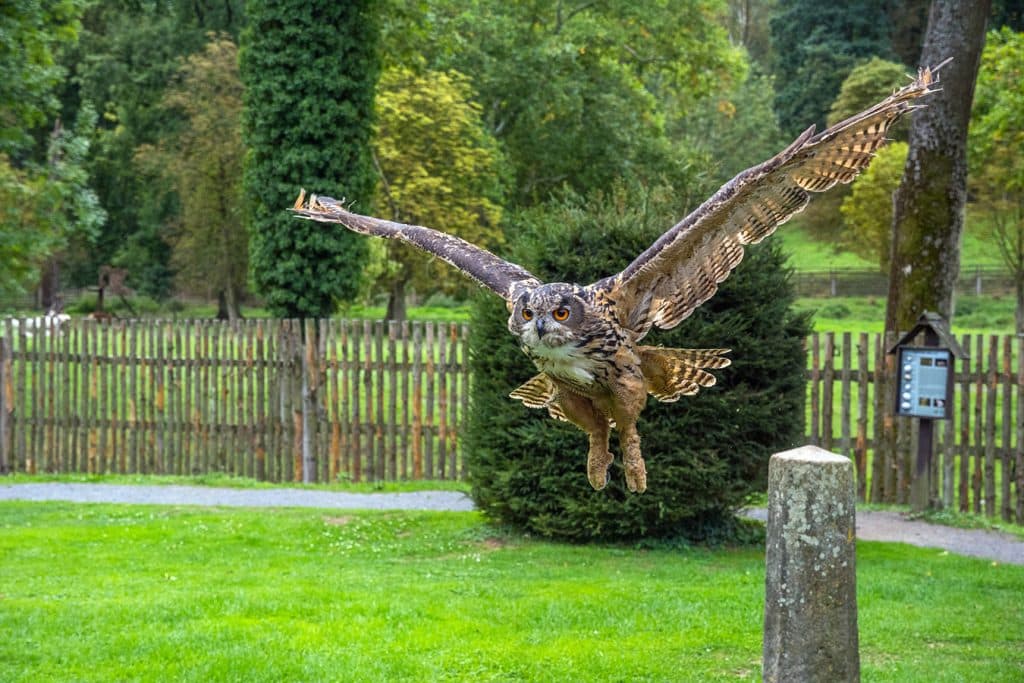 Obora Žleby - Země Světa