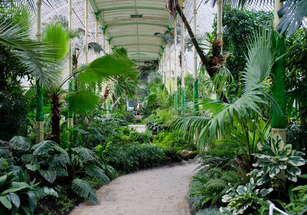 Zámecký skleník v Lednici - Země Světa