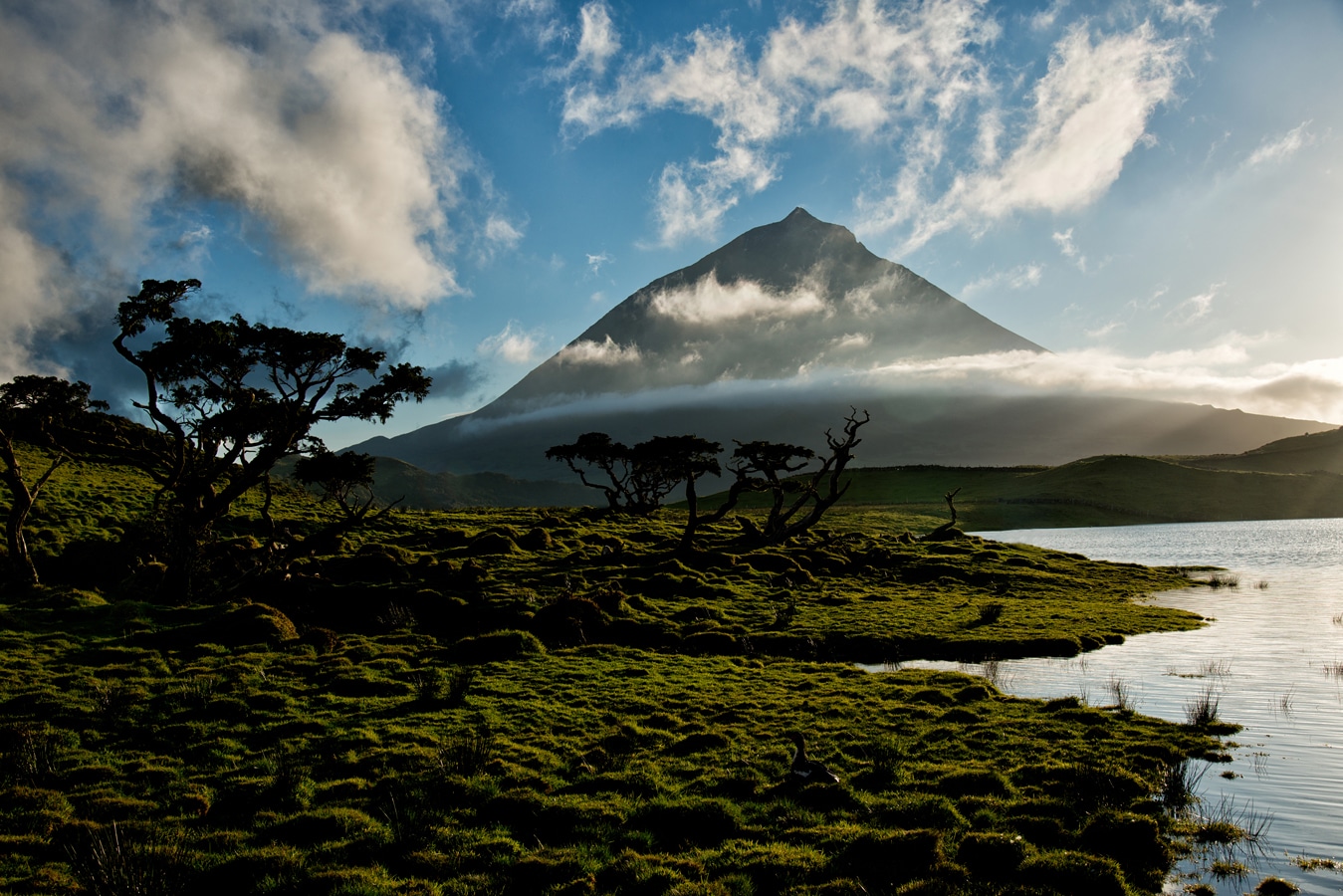 Ostrov Pico - Země Světa